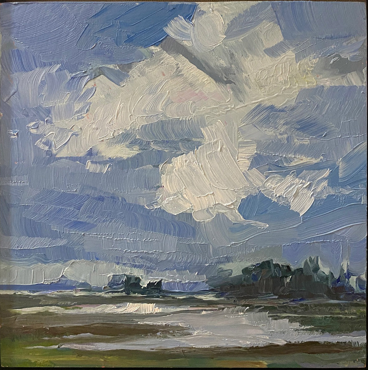 Blue Reflection – Paula Litchfield Fine Art